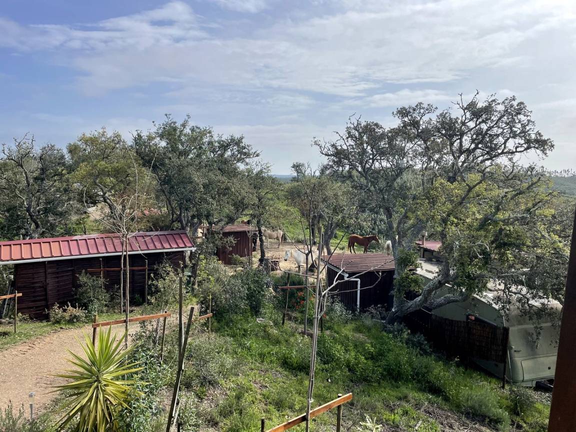 Cabin ∙ 1 Bedroom ∙ 2 Guests - Ourique
