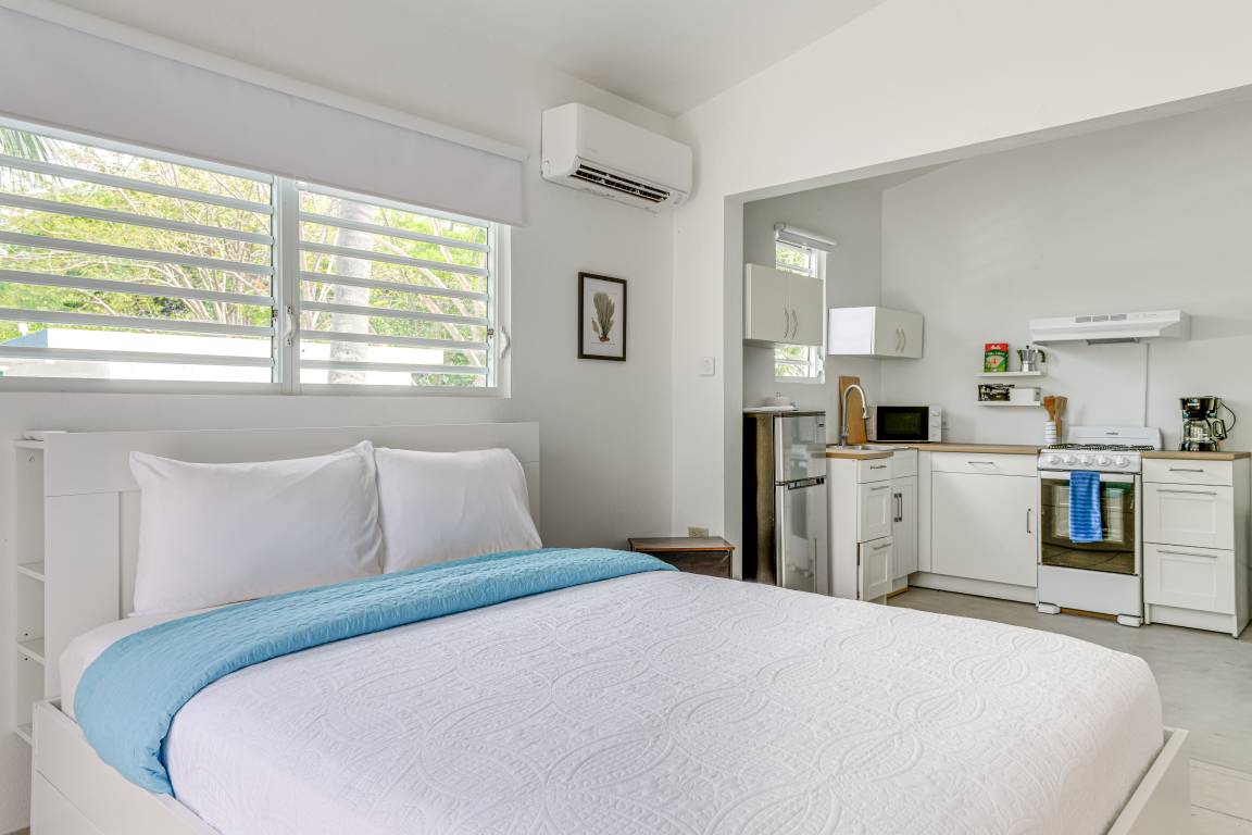37 M² Apartment ∙ 1 Bedroom ∙ 2 Guests - Vieques