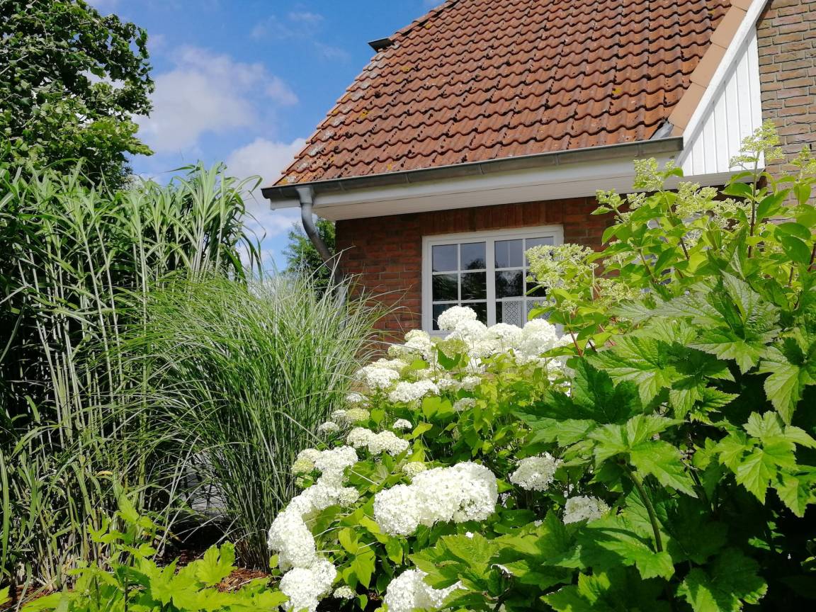 130 M² Ferienhaus ∙ 3 Schlafzimmer ∙ 5 Gäste - Bad Kleinen