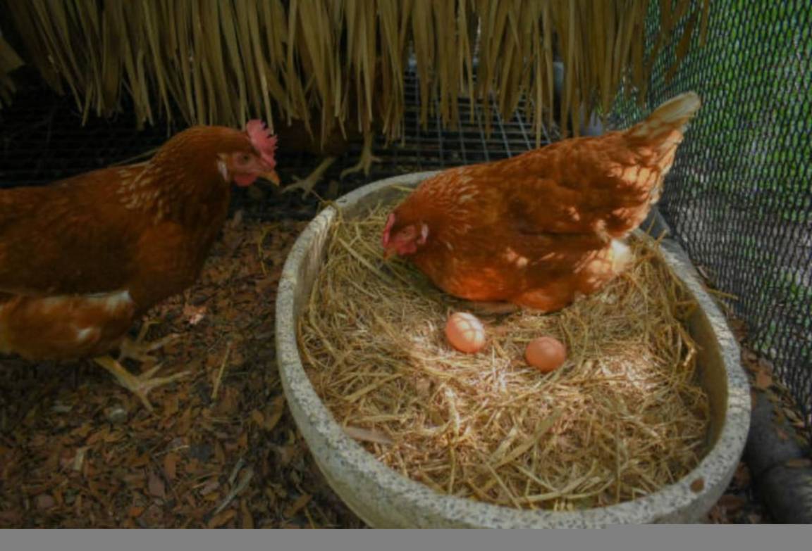 Apartment ∙ 2 Guests - Monroe, NY