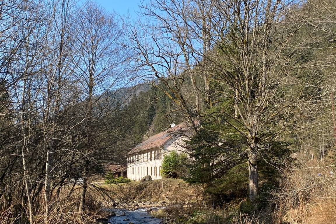55 M² Ferienwohnung ∙ 2 Schlafzimmer ∙ 4 Gäste - Gérardmer