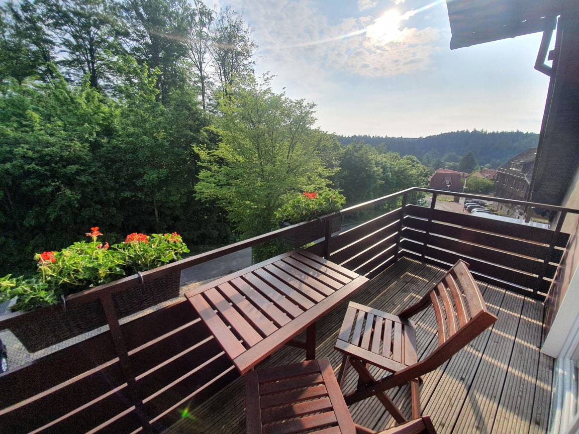 46 M² Apartment ∙ 1 Bedroom ∙ 4 Guests - Braunlage