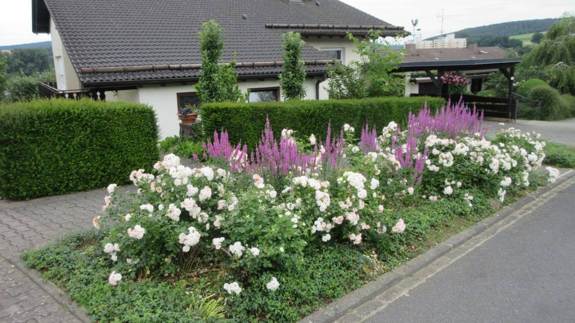 85 M² Ferienwohnung ∙ 2 Schlafzimmer ∙ 4 Gäste - Bad König