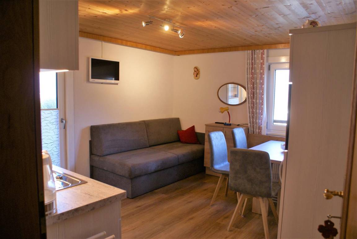 20 M² Hotel ∙ 1 Bedroom ∙ 3 Guests - Reith im Alpbachtal