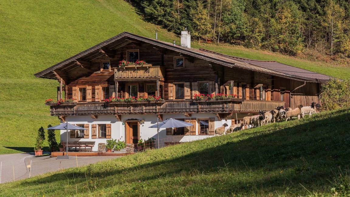 50 M² Appartement ∙ 2 Slaapkamers ∙ 4 Gasten - Ellmau