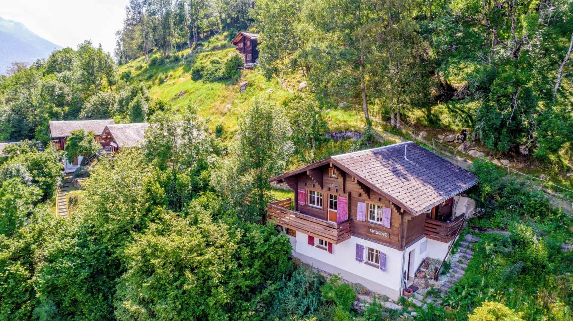 55 M² Apartamento ∙ 3 Quartos ∙ 7 Hóspedes - Fiesch