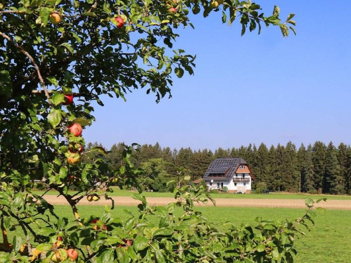 59 M² Appartement ∙ 1 Chambre ∙ 4 Personnes - Unterkirnach