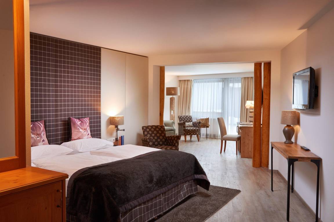 35 M² Hotelli ∙ 1 Makuuhuone ∙ 3 Vierasta - Kaprun