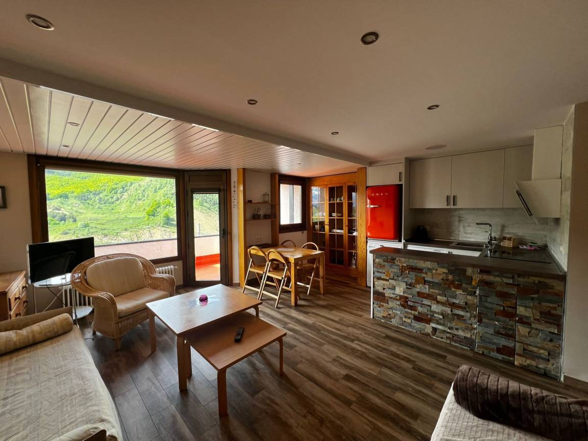 40 M² Apartment ∙ 1 Bedroom ∙ 4 Guests - Formigal