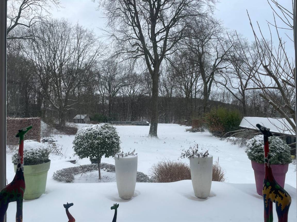 60 M² Apartment ∙ 2 Bedrooms ∙ 4 Guests - Ottignies-Louvain-la-Neuve