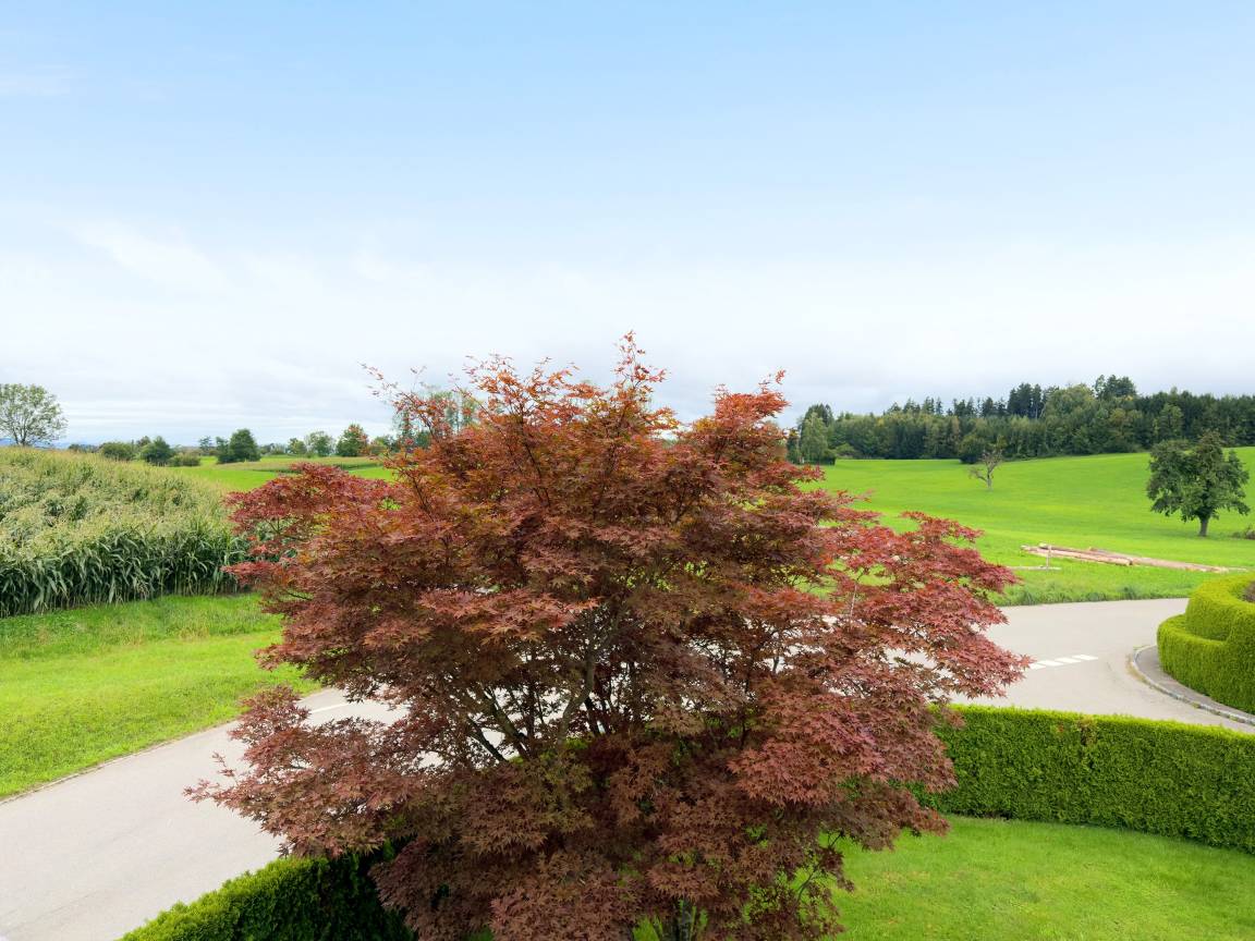 96 M² Apartment ∙ 2 Bedrooms ∙ 4 Guests - Lindau