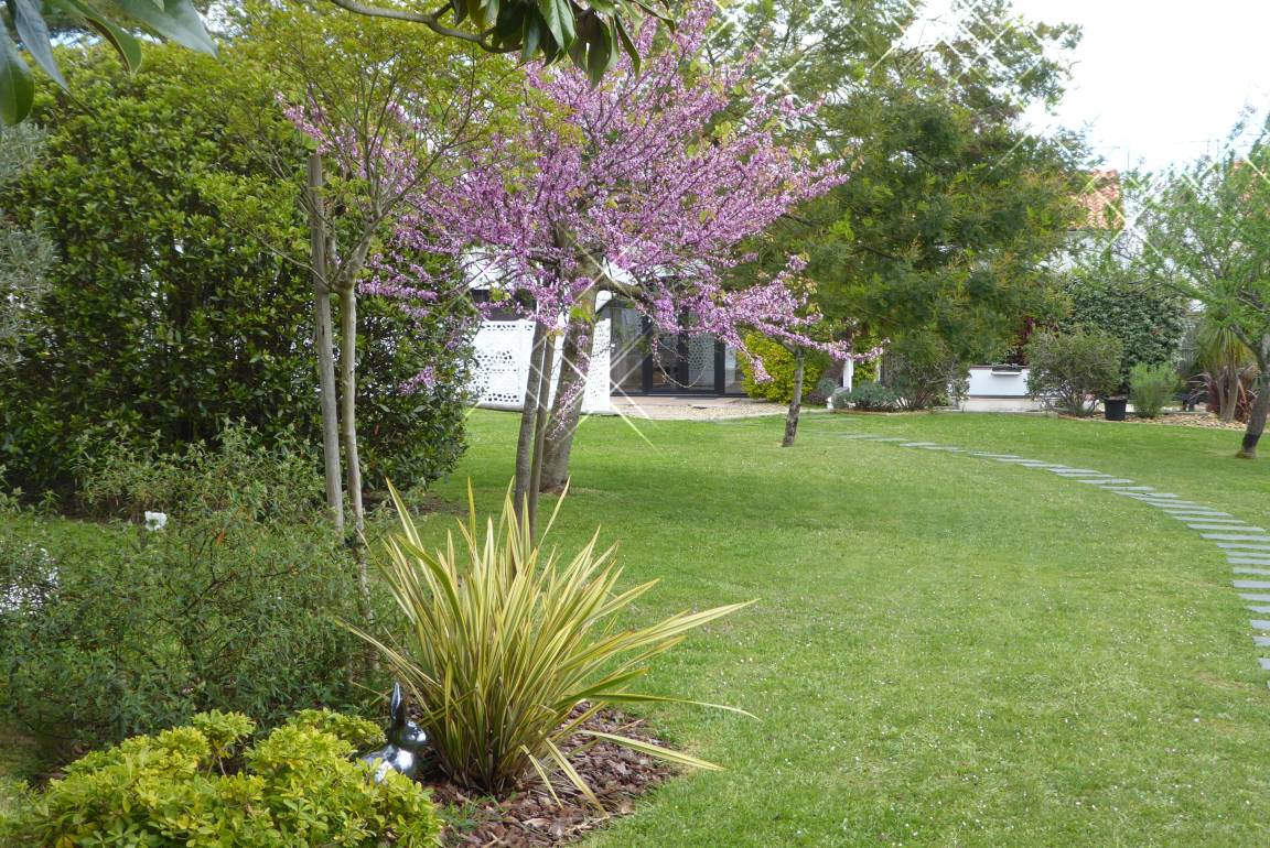 Maison De Vacances ∙ 1 Chambre ∙ 4 Personnes - Vaux-sur-Mer