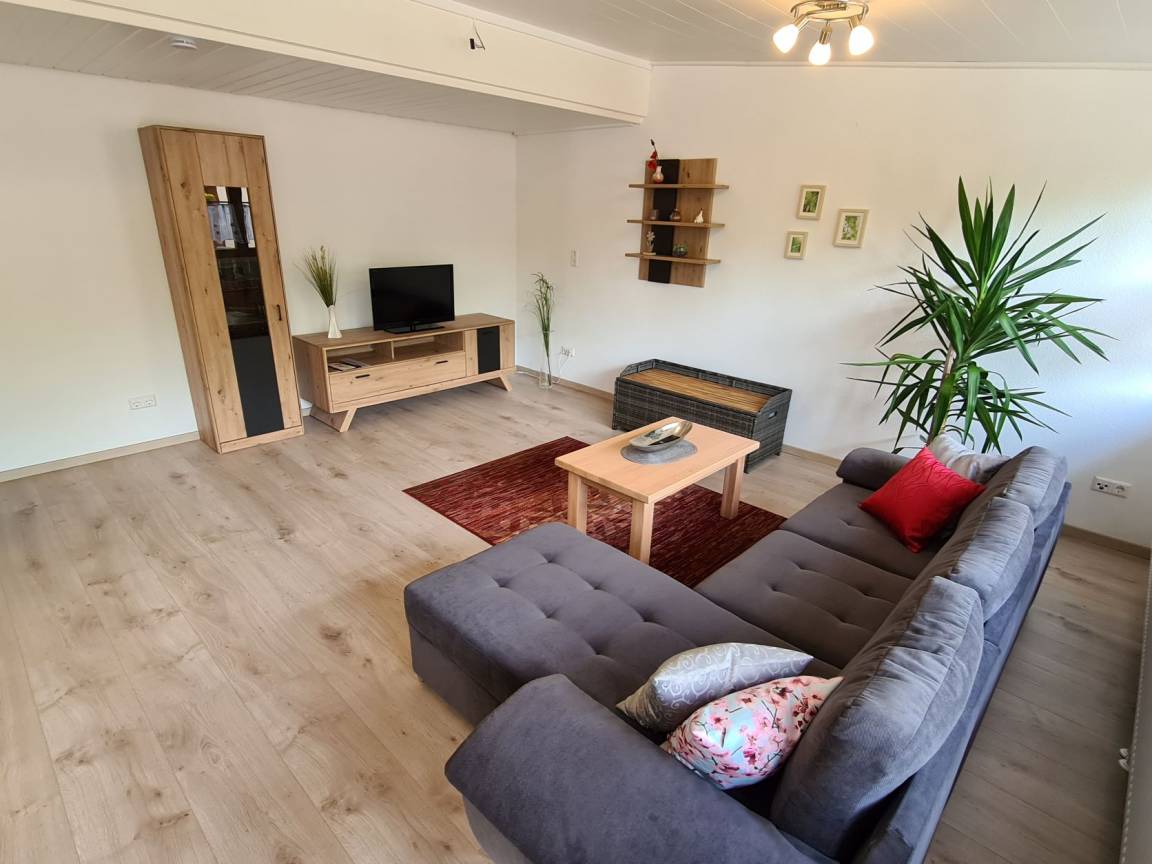 72 M² Apartamento ∙ 1 Habitación ∙ 4 Huéspedes - Schaffhausen