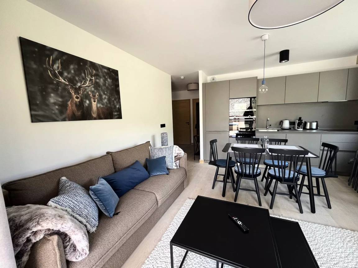 48 M² Appartement ∙ 1 Chambre ∙ 4 Personnes - Auris-en-Oisans