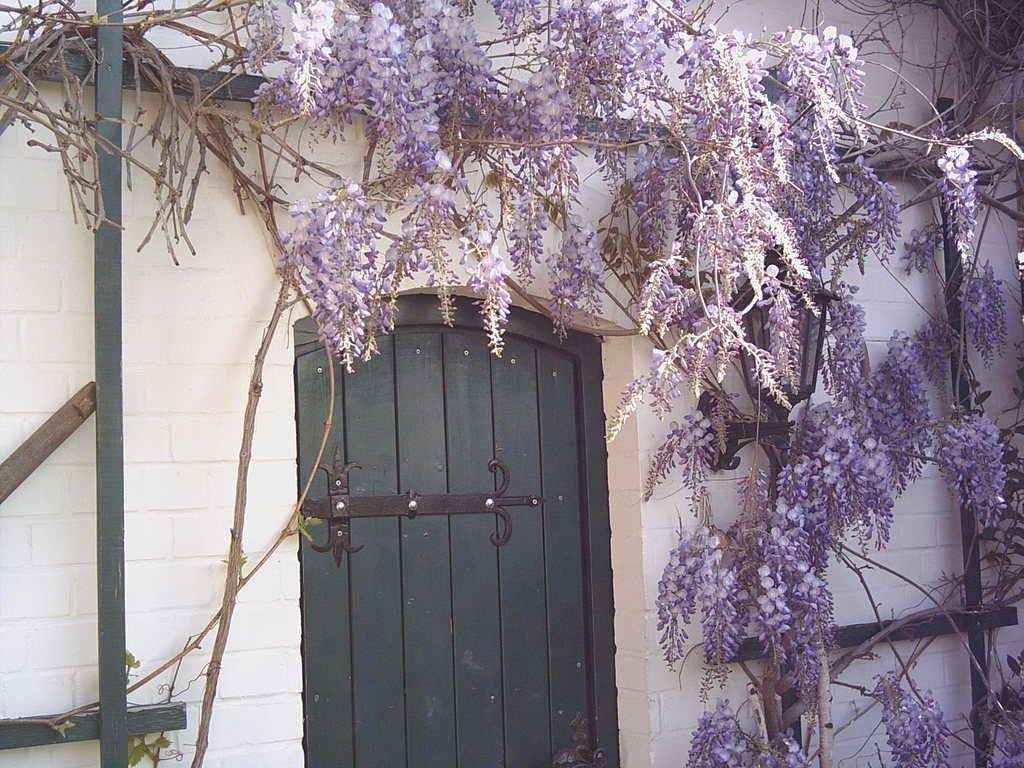 70 M² Apartment ∙ 1 Bedroom ∙ 2 Guests - Neubrandenburg