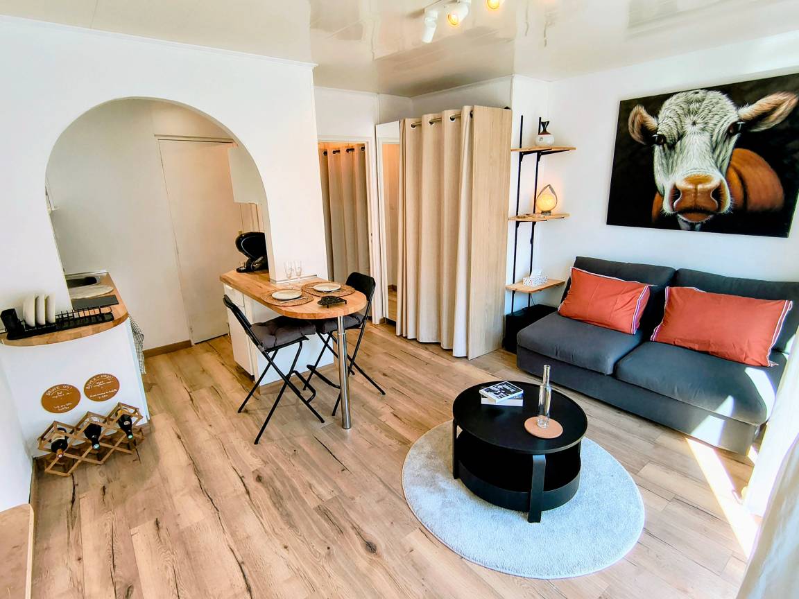 21 M² Apartamento ∙ 1 Habitación ∙ 2 Huéspedes - Mulhouse