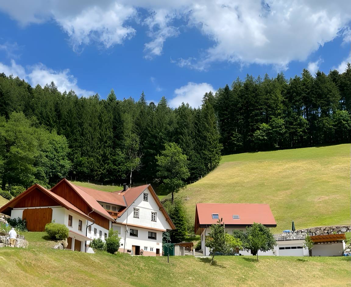 40 M² Ferienwohnung ∙ 1 Schlafzimmer ∙ 3 Gäste - Oberwolfach