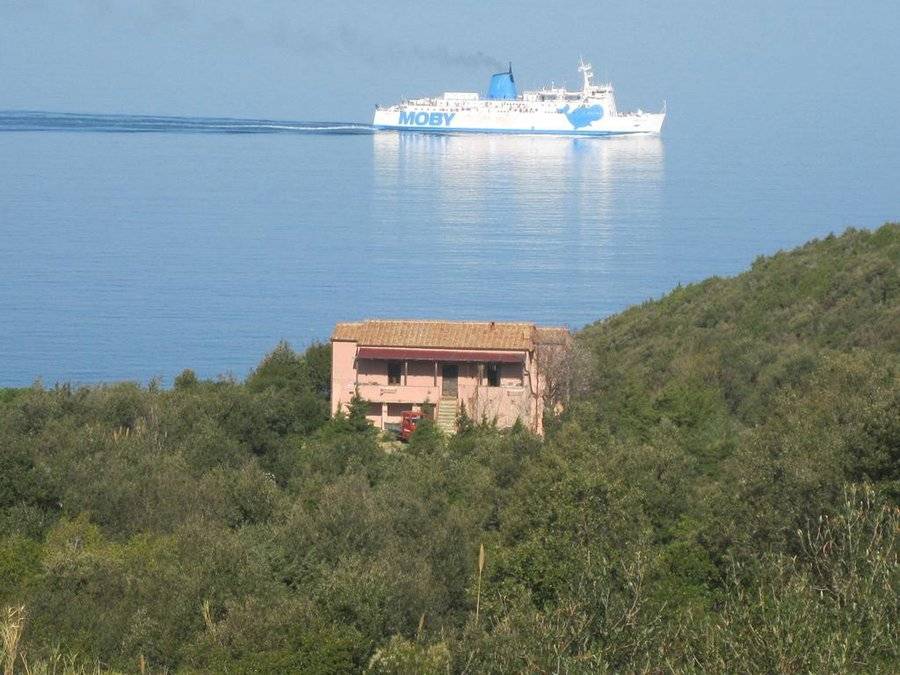 50 M² Farmhouse ∙ 1 Bedroom ∙ 6 Guests - Elba