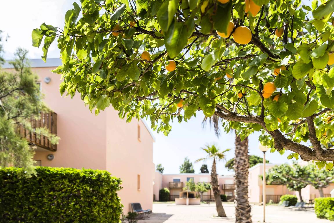 50 M² Apartamento ∙ 2 Habitaciones ∙ 6 Huéspedes - Fleury