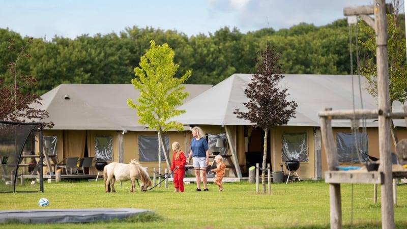 Zelt ∙ 3 Schlafzimmer ∙ 6 Gäste - Waalwijk