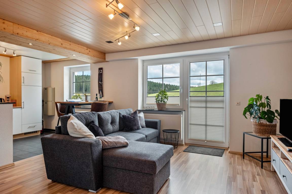 55 M² Apartament ∙ 1 Sypialnia ∙ 4 Gości - Titisee-Neustadt