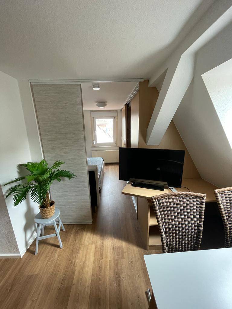 Apartment ∙ 1 Bedroom ∙ 3 Guests - Stuttgart