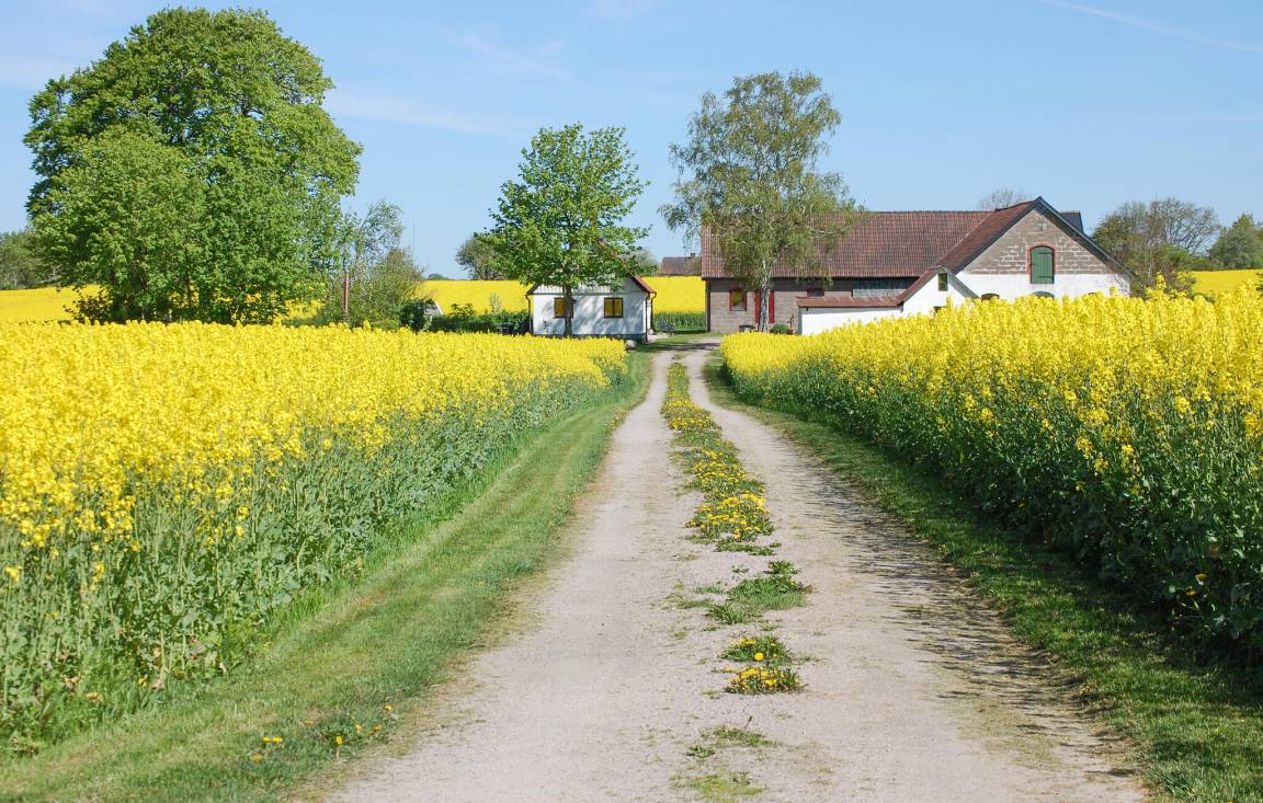 110 M² Lanthus ∙ 2 Sovrum ∙ 6 Gäster - Sjöbo