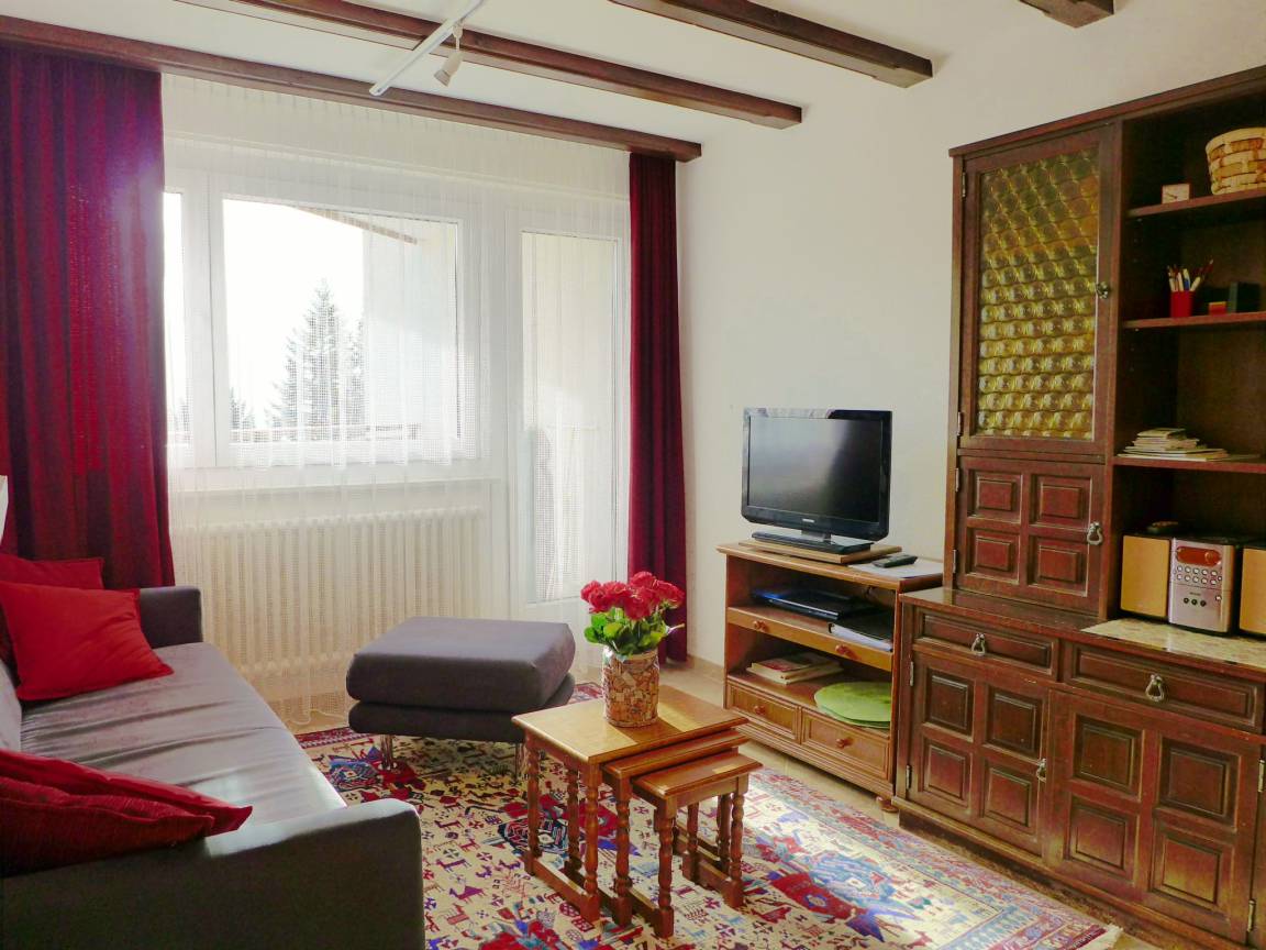 58 M² Apartment ∙ 2 Bedrooms ∙ 4 Guests - Crans-Montana