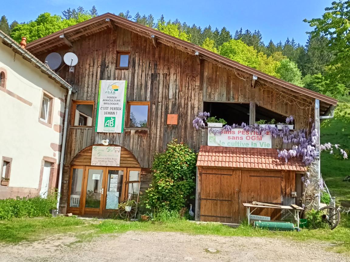 95 M² Huis ∙ 3 Slaapkamers ∙ 8 Gasten - Vosges