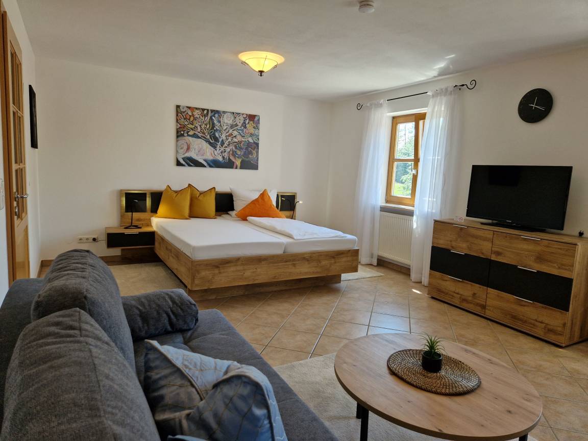 Apartment ∙ 1 Bedroom ∙ 4 Guests - Regensburg