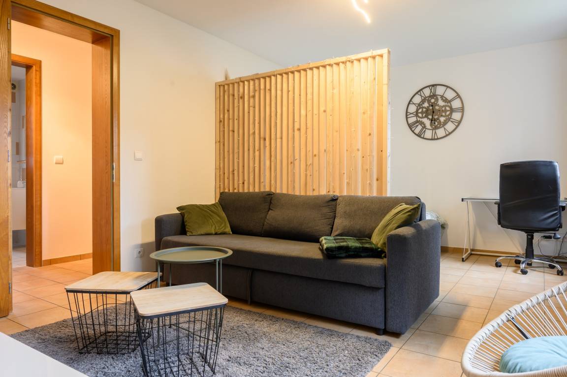 50 M² Apartment ∙ 1 Bedroom ∙ 5 Guests - Riquewihr