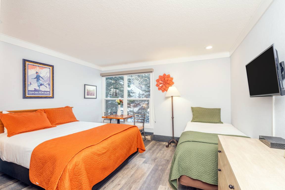 25 M² Hotel ∙ 1 Bedroom ∙ 3 Guests - Telluride, CO