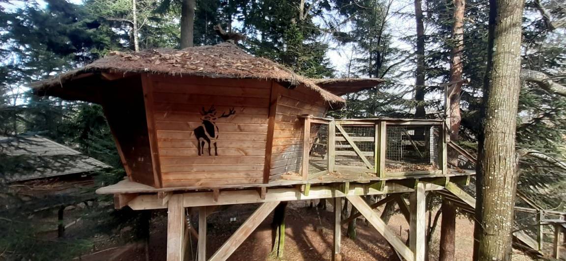 Camping ∙ 1 Chambre ∙ 3 Personnes - Lamastre