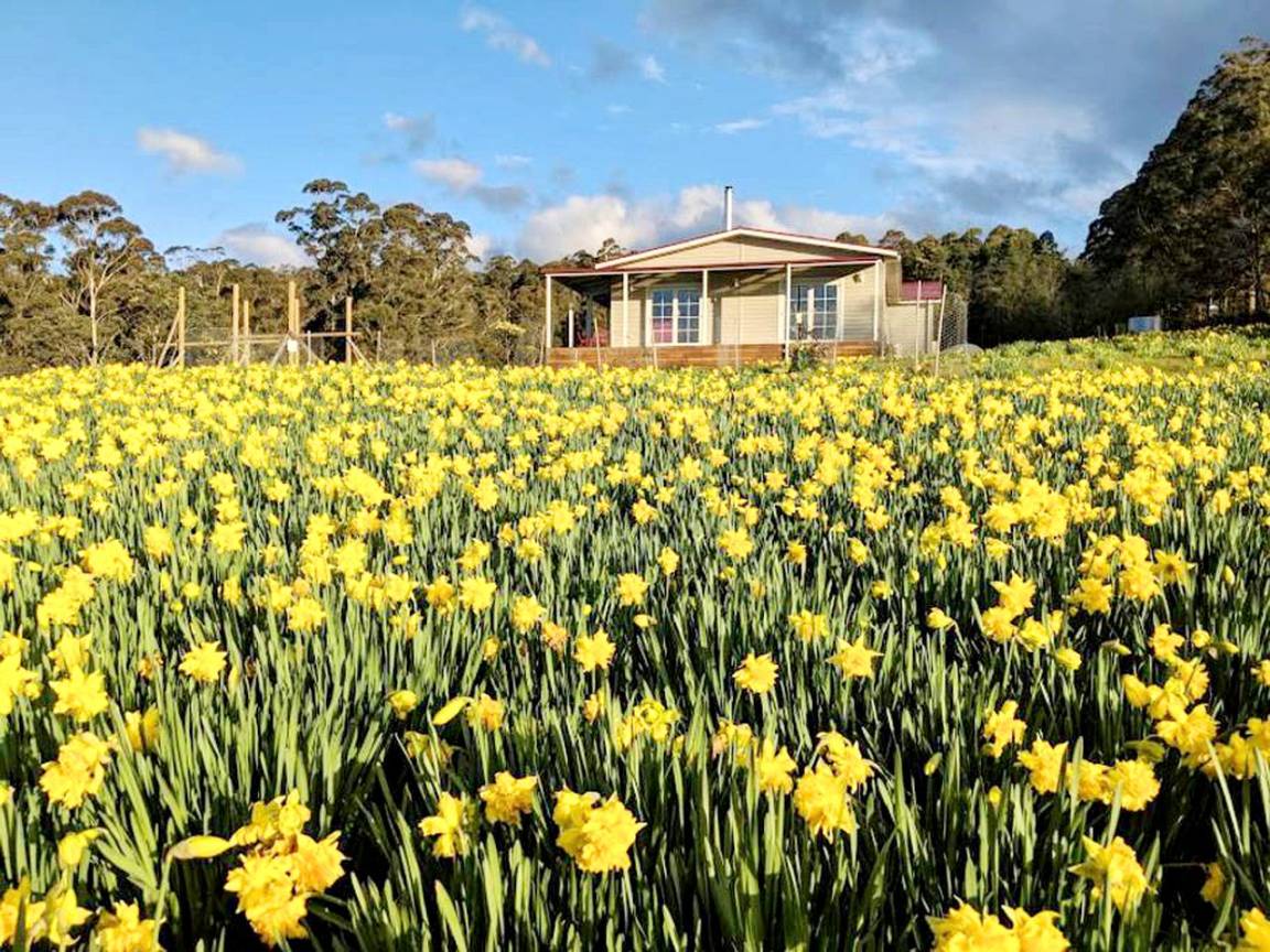 House ∙ 1 Bedroom ∙ 6 Guests - Deloraine