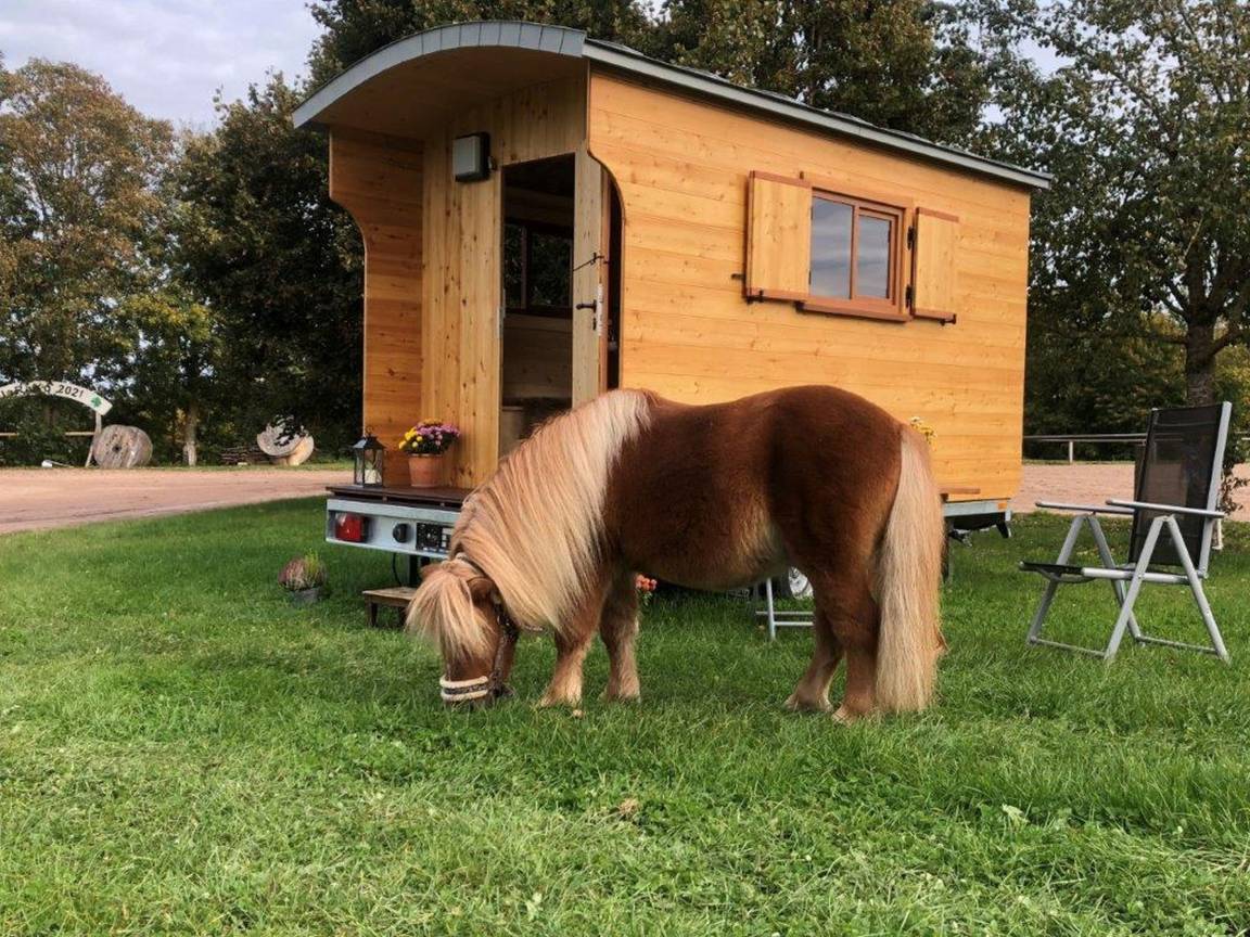 Mobilheim ∙ 1 Schlafzimmer ∙ 3 Gäste - Schwarzwald