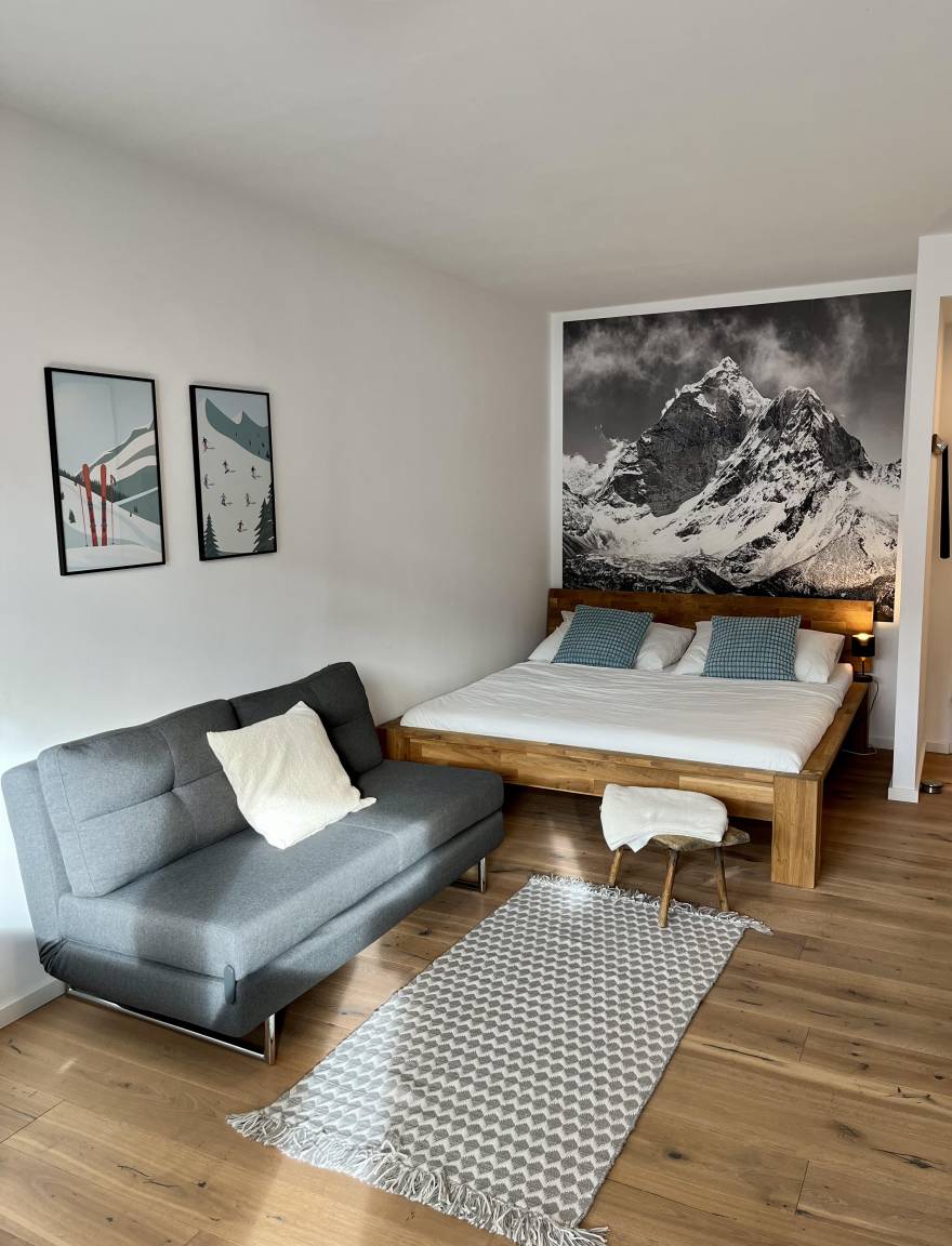 30 M² Apartamento ∙ 1 Habitación ∙ 4 Huéspedes - Hochkönig