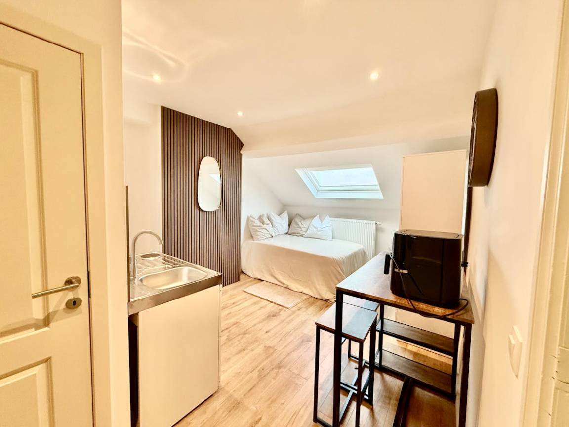 500 M² Apartment ∙ 1 Guest - Brussels