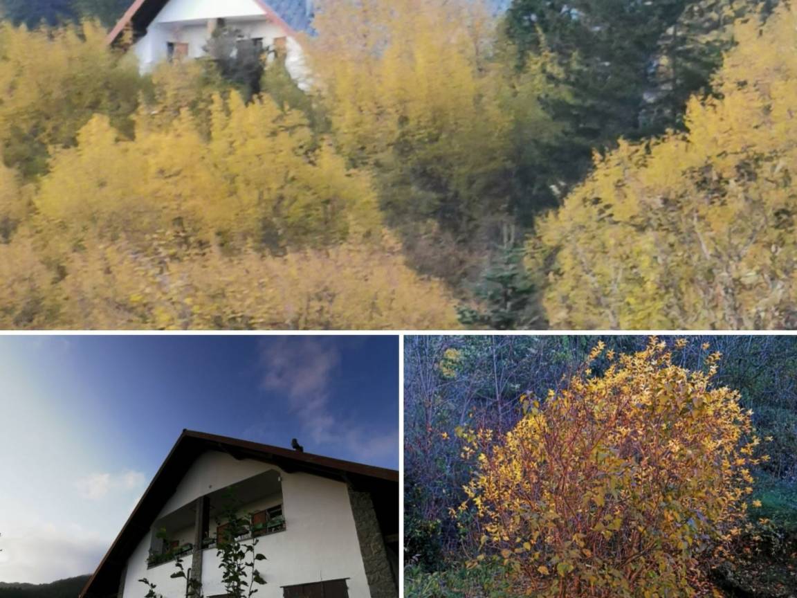 50 M² Appartement ∙ 1 Chambre ∙ 3 Personnes - Santo Stefano d'Aveto