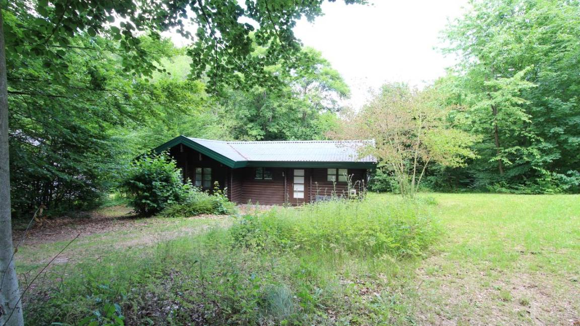 65 M² Ferienwohnung ∙ 2 Schlafzimmer ∙ 4 Gäste - Bad Arolsen