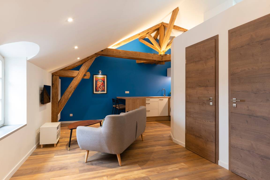 50 M² Apartment ∙ 1 Bedroom ∙ 4 Guests - Nancy