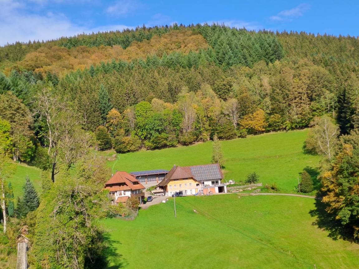 60 M² Ferienwohnung ∙ 1 Schlafzimmer ∙ 3 Gäste - Wolfach