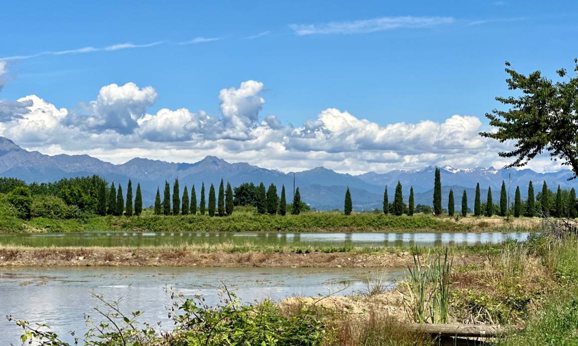 House ∙ 1 Bedroom ∙ 7 Guests - Provincia di Vercelli