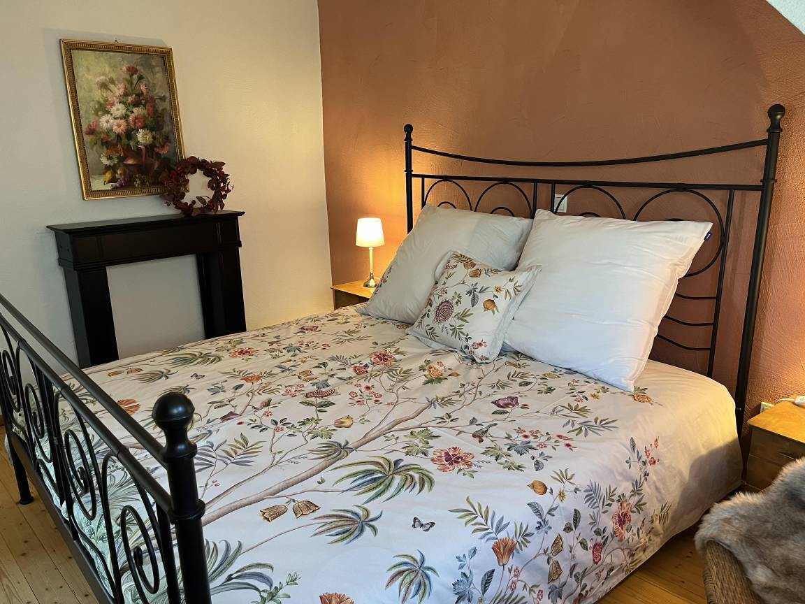 80 M² Huis ∙ 2 Slaapkamers ∙ 4 Gasten - Wissembourg