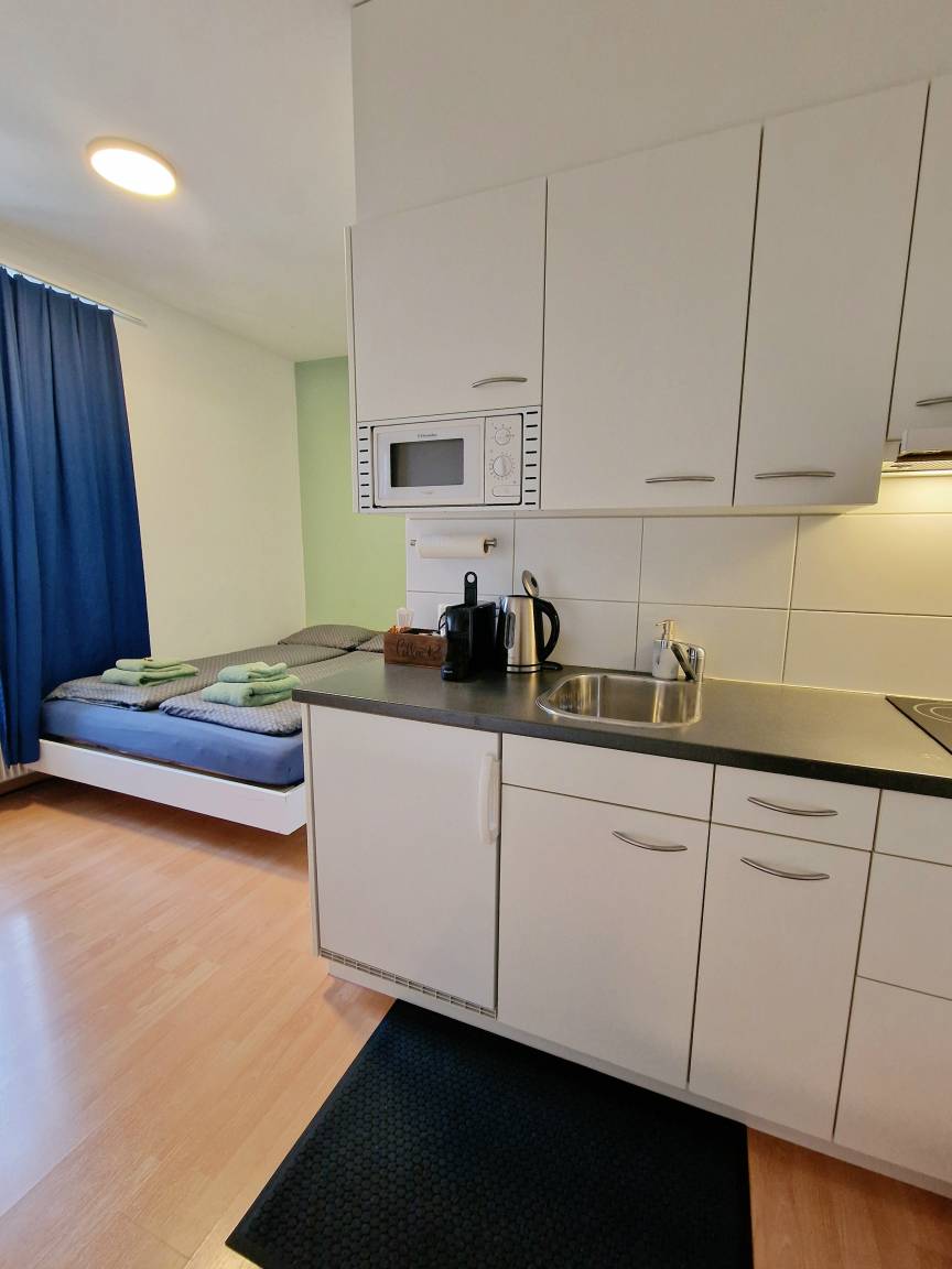 19 M² Apartment ∙ 1 Bedroom ∙ 2 Guests - Solothurn