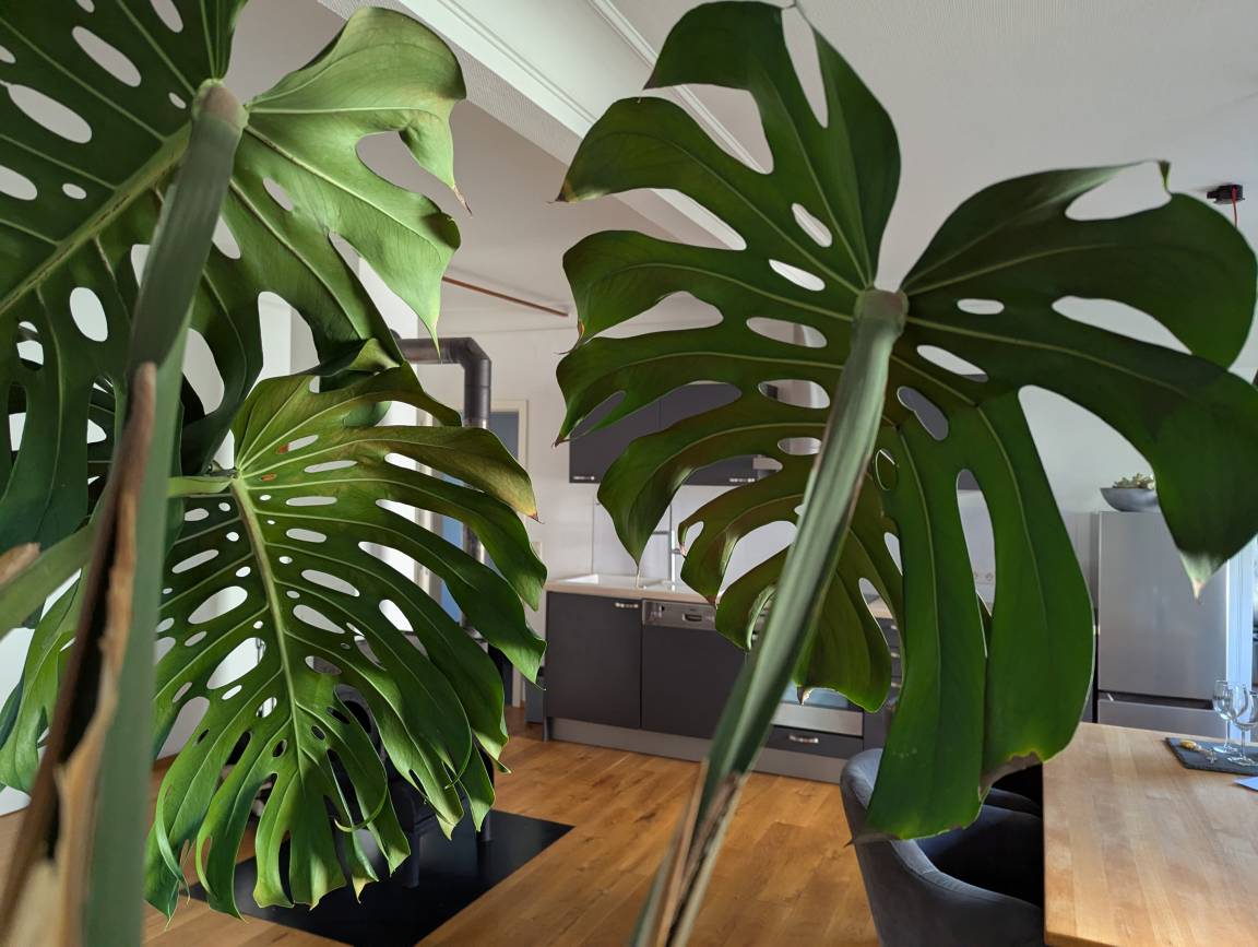 60 M² Apartment ∙ 1 Bedroom ∙ 2 Guests - Lichtenstein