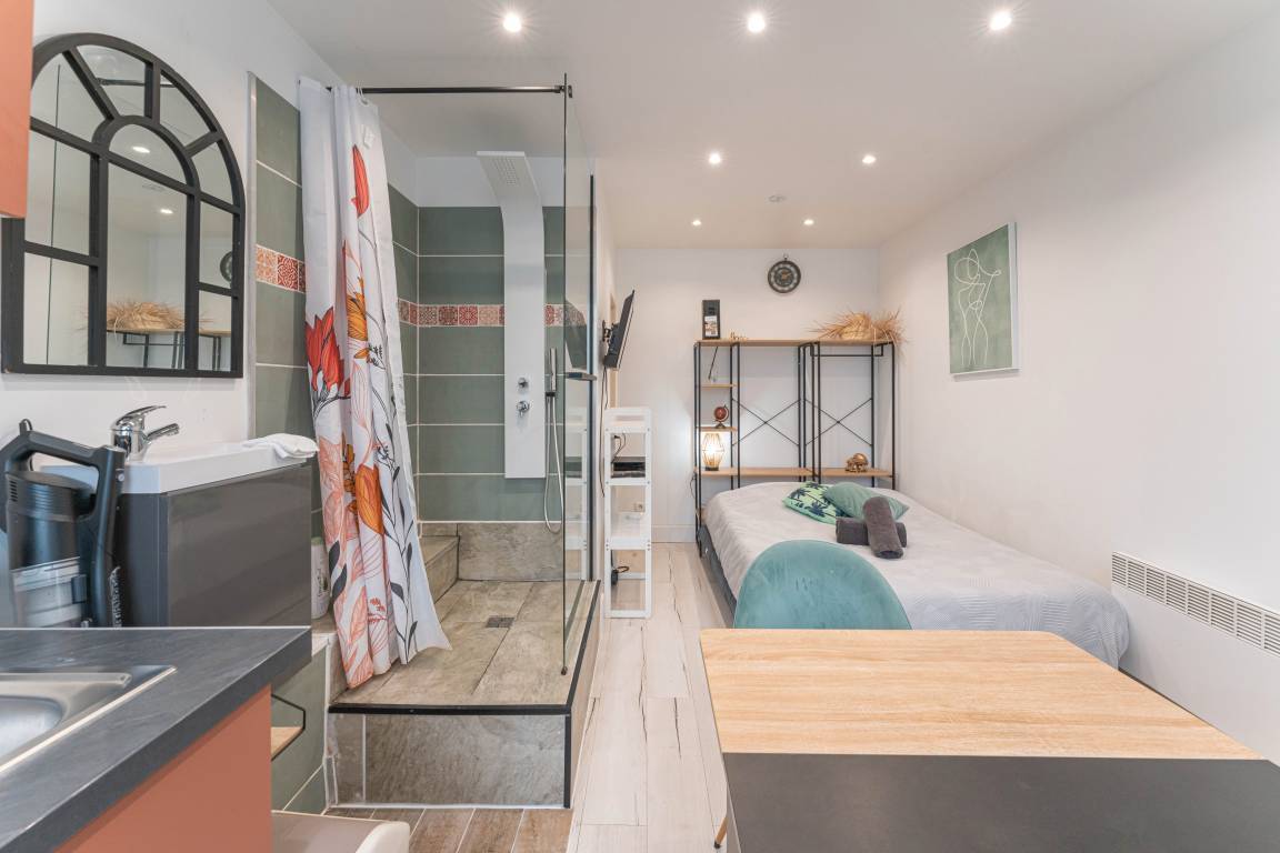 18 M² Apartment ∙ 1 Bedroom ∙ 2 Guests - Annecy