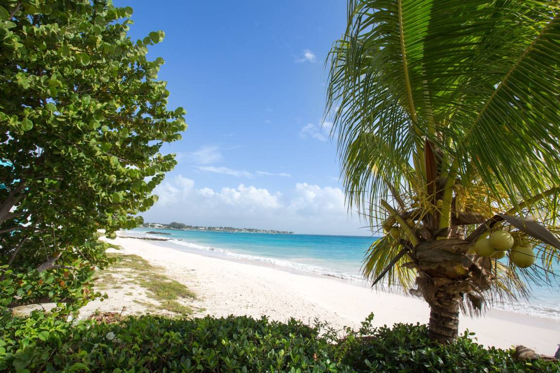 Villa ∙ 3 Slaapkamers ∙ 6 Gasten - Barbados