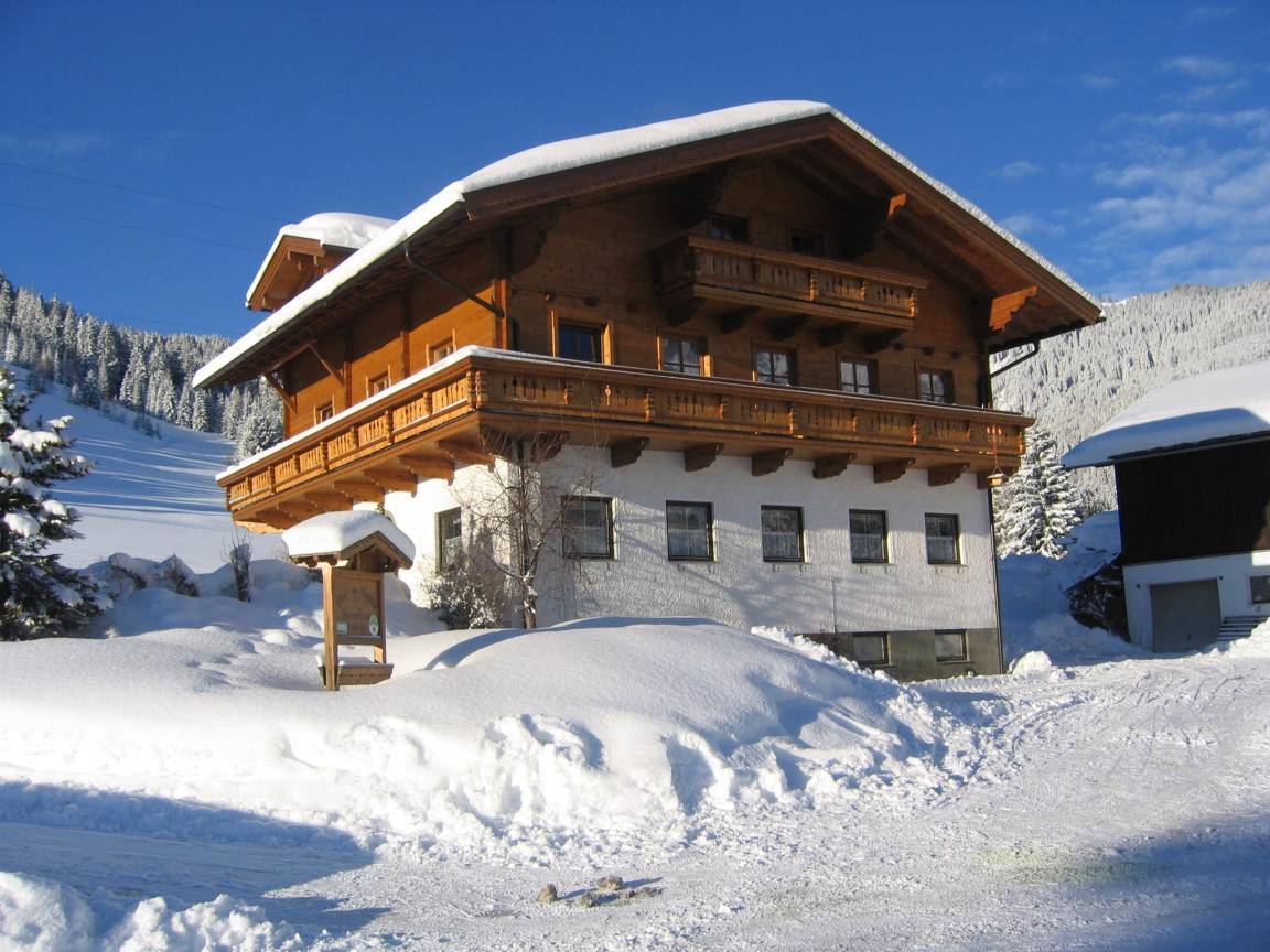20 M² Hotel ∙ 1 Bedroom ∙ 2 Guests - Goldegg