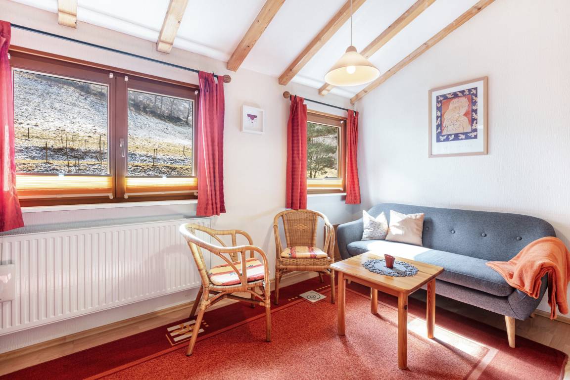 42 M² Appartement ∙ 1 Slaapkamer ∙ 2 Gasten - Todtnau