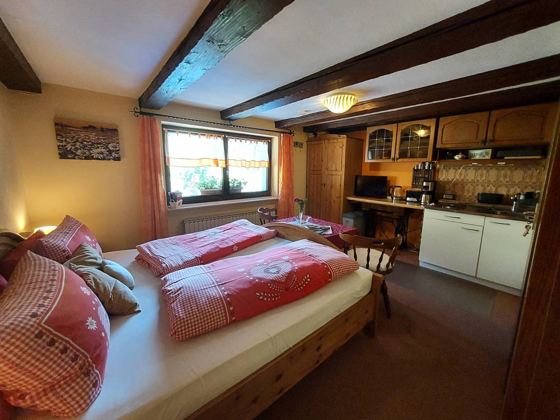 20 M² Ferienwohnung ∙ 1 Schlafzimmer ∙ 2 Gäste - Zell am Harmersbach